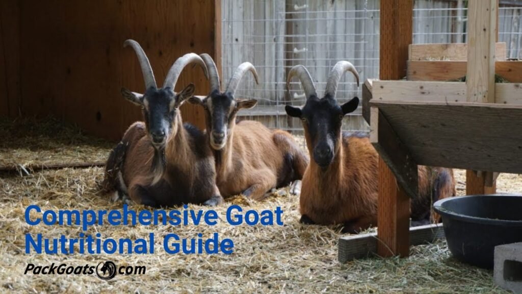 Comprehensive Goat Nutrition Guide - Lifelong Wellness